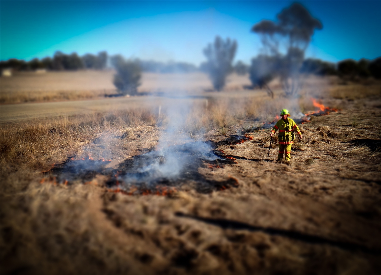 Image Gallery Albums » Shire of Broomehill-Tambellup